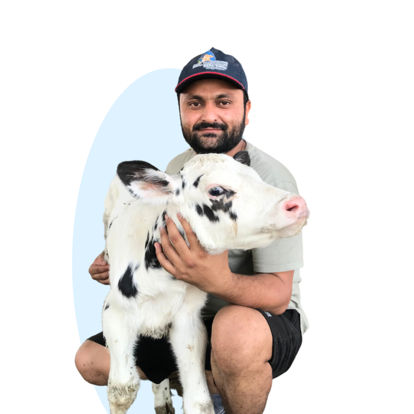Vet Clinic and Animal Hospital in Pakistan - Sidhu Vet Clinic ...